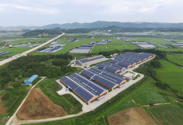 선진, KCGS 2024년 ESG 평가 등급 '통합 A' 획득